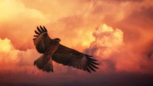 Two Celtic Symbols for Freedom - The Blog for Whats-Your-Sign.com by ...